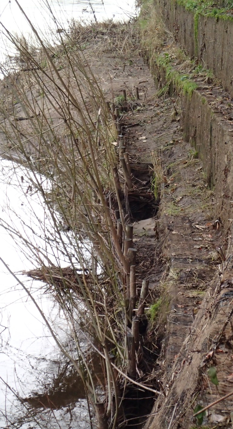 Willows and water – heatherkellyblog – travel with me and wonder at ...