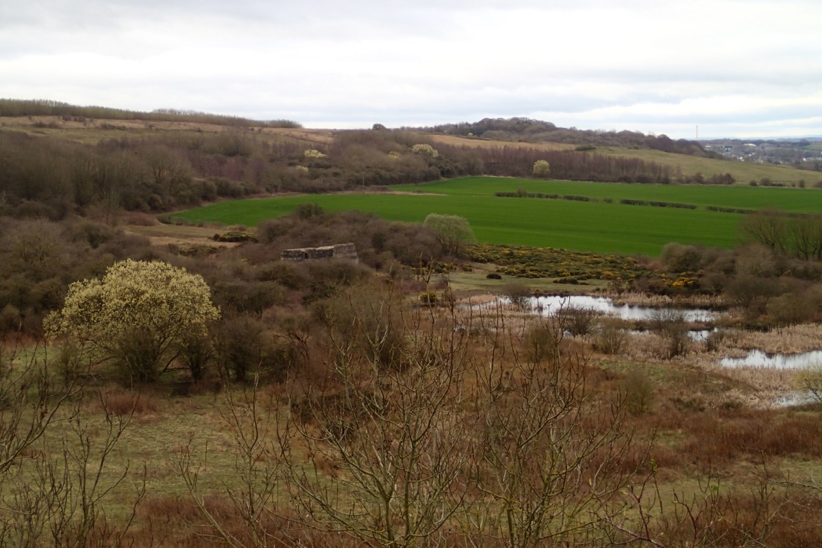 Habitat restoration at Quarrington Quarry, March 2019 ...