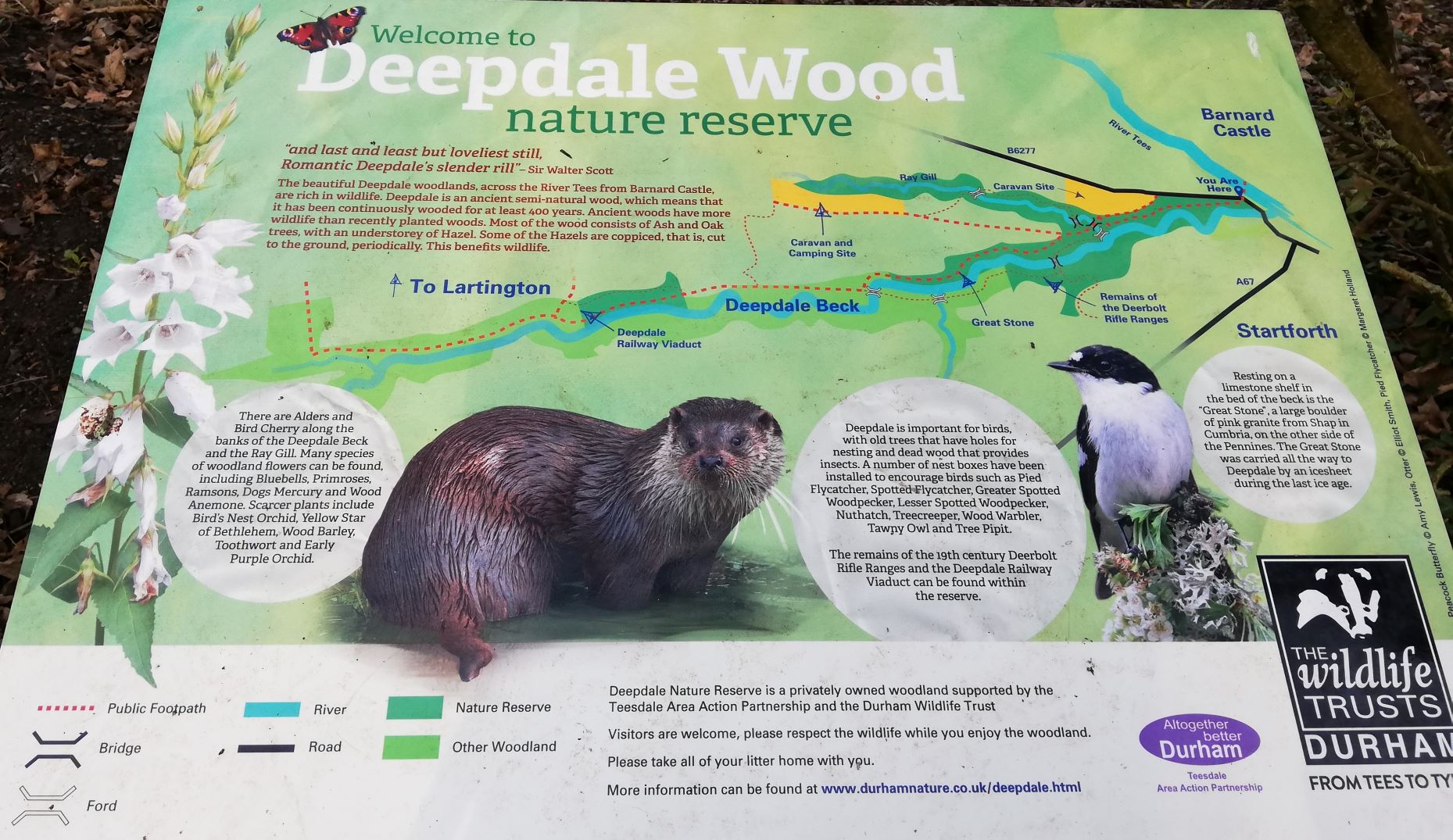 Deepdale Wood Nature Reserve – heatherkellyblog – travel with me and ...