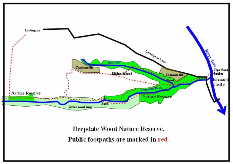 Deepdale Wood Nature Reserve – heatherkellyblog – travel with me and ...