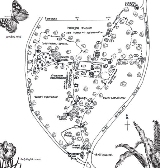 Warley Place – heatherkellyblog – travel with me and wonder at what you ...